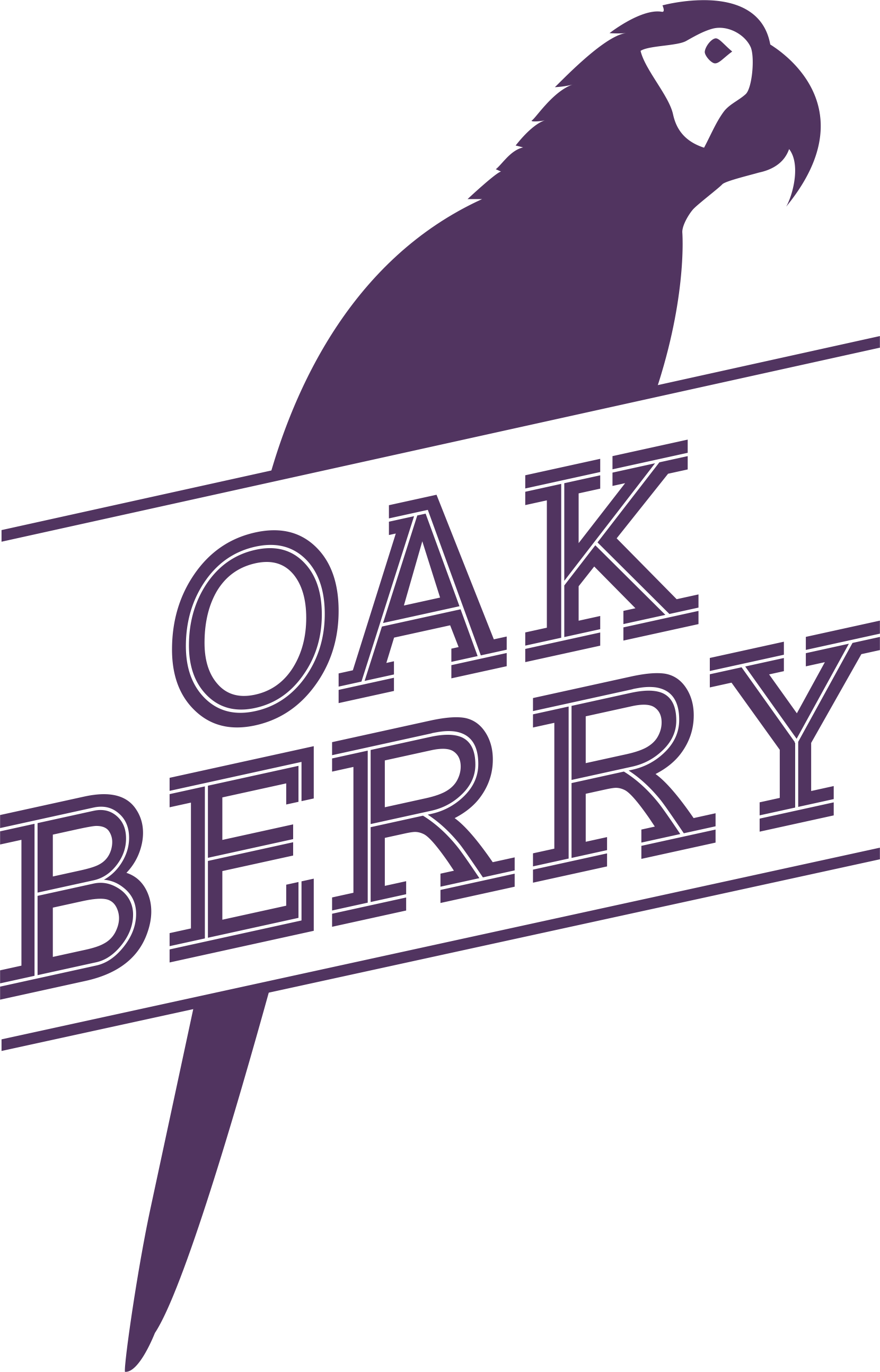 Franchise – OAKBERRY Açaí